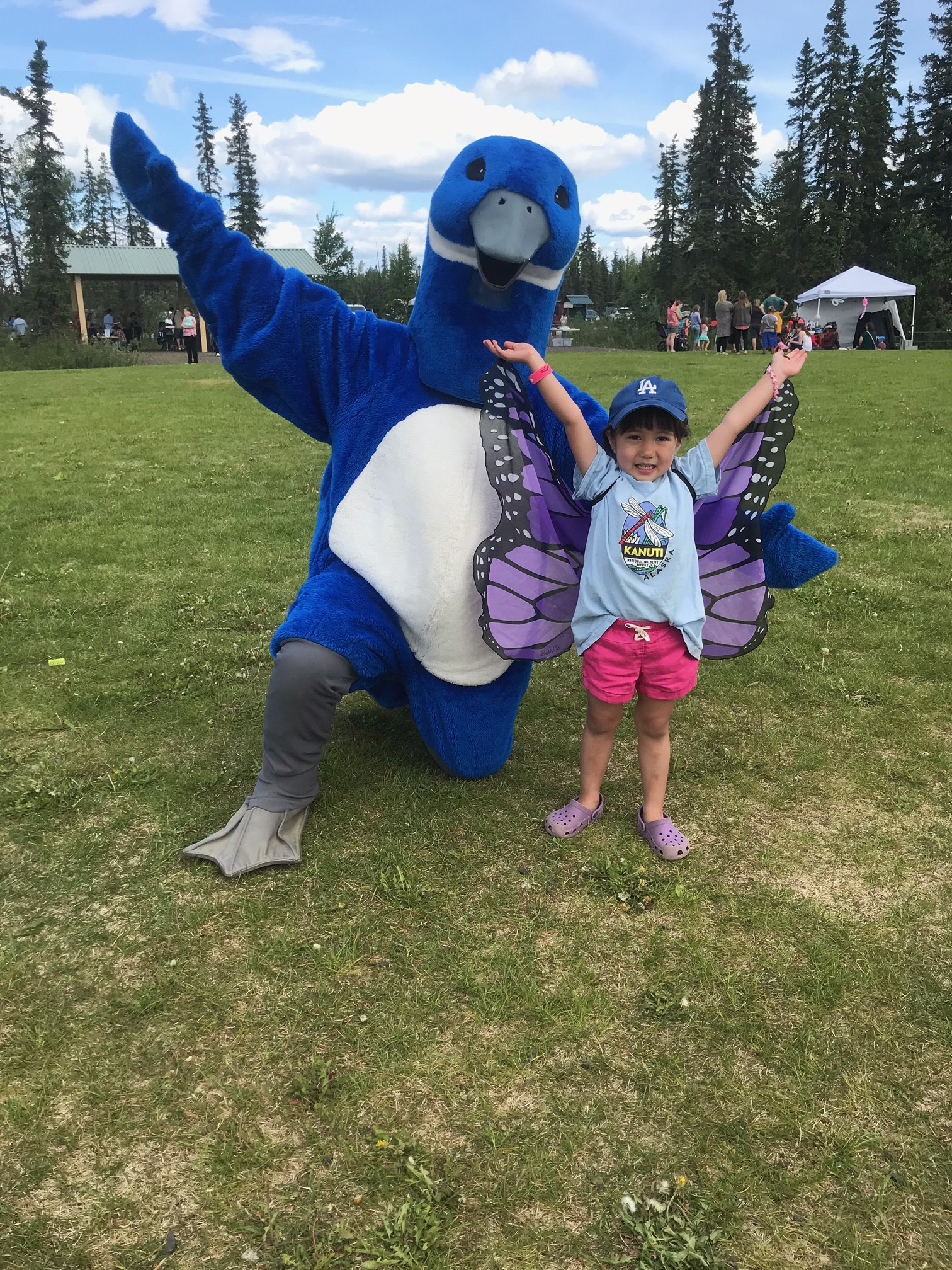 2018 Dragonfly Day – Friends of Alaska National Wildlife Refuges