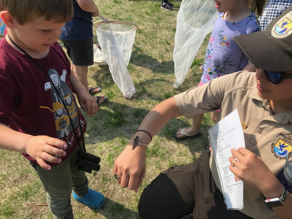 2019 Dragonfly Day – Friends of Alaska National Wildlife Refuges