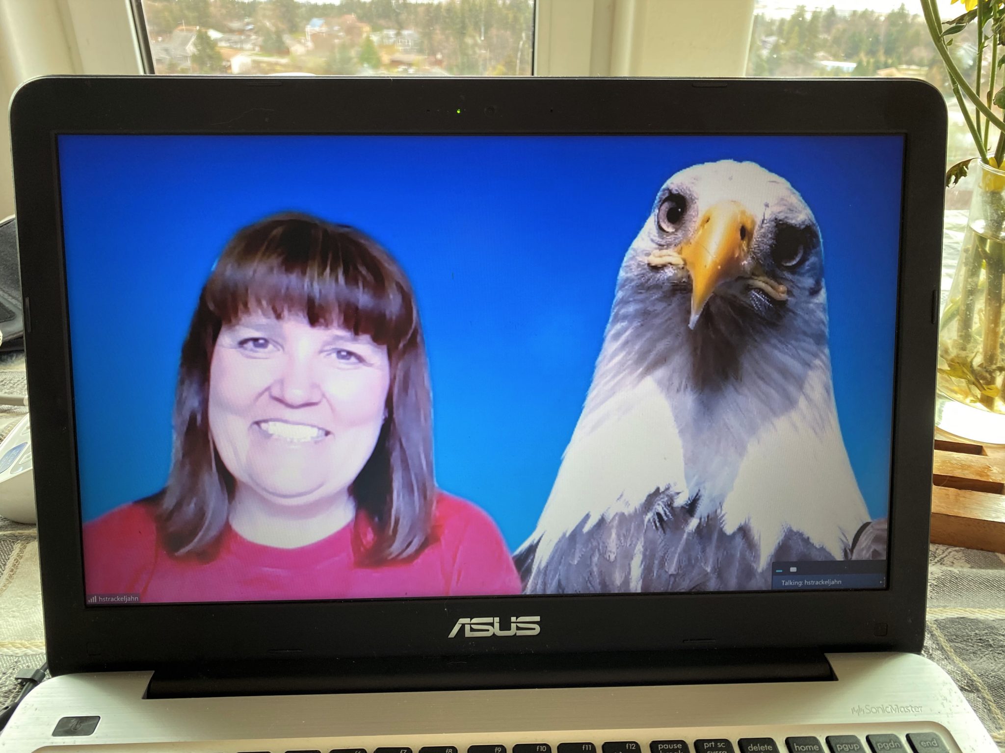 Refuges Step up Their Virtual Game: You are the Winner! – Friends of ...