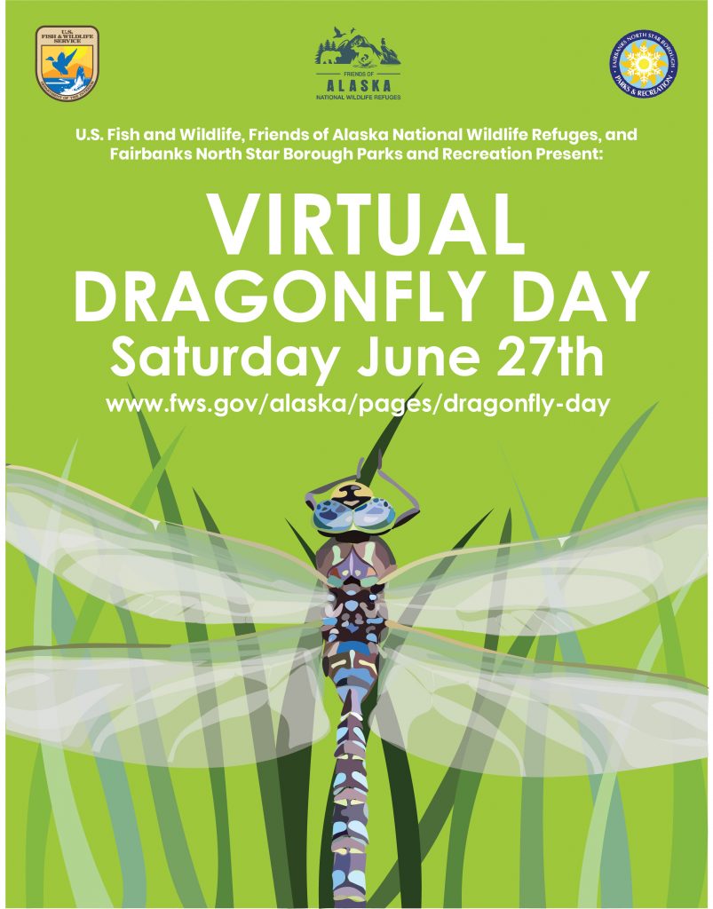 Dragonfly Day Save the Date! – Friends of Alaska National Wildlife Refuges