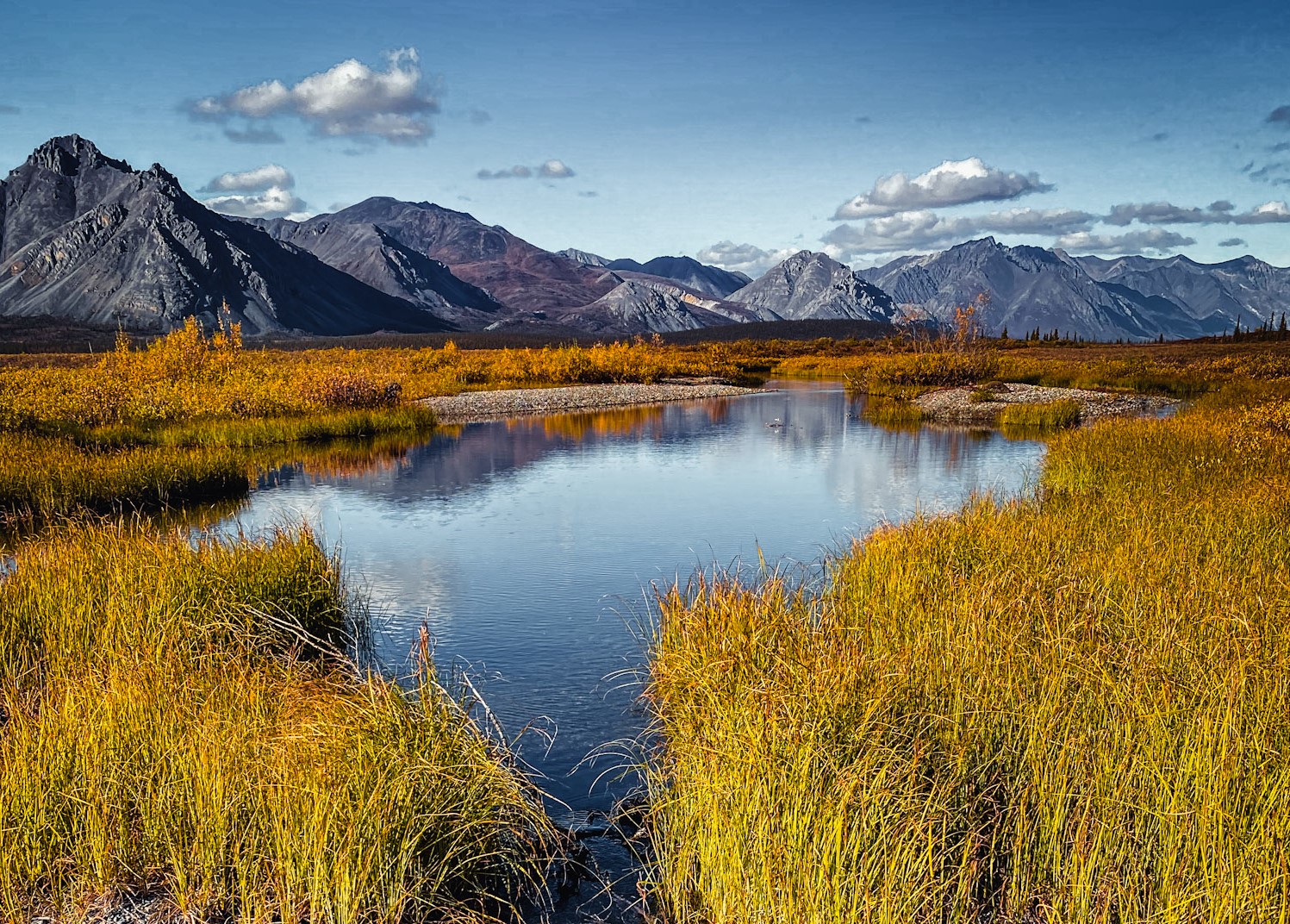 November 2020 – Friends of Alaska National Wildlife Refuges
