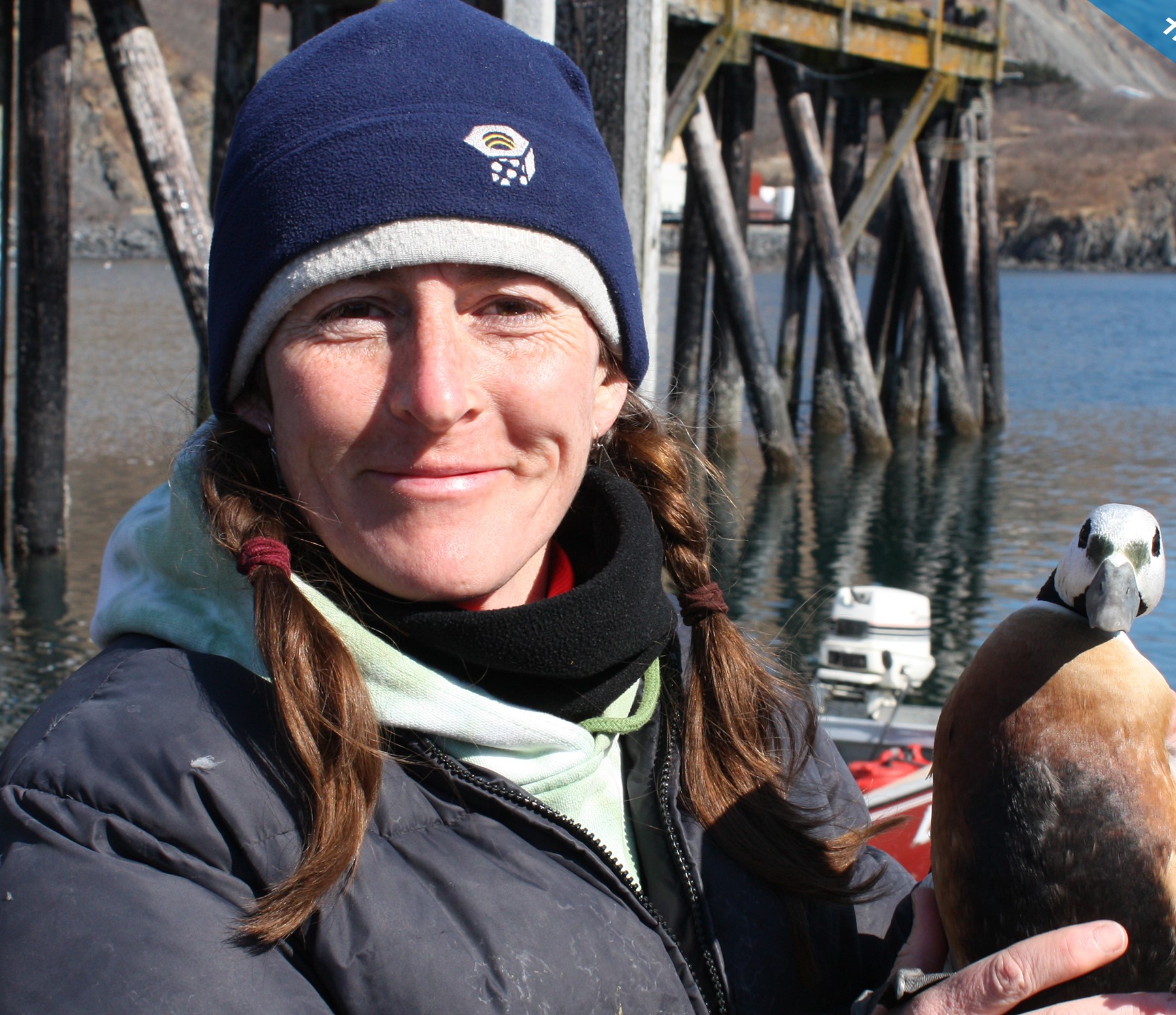 Tracking Puffins in the Kodiak Archipelago. 10/18, 5pm-6pm (AKDT ...