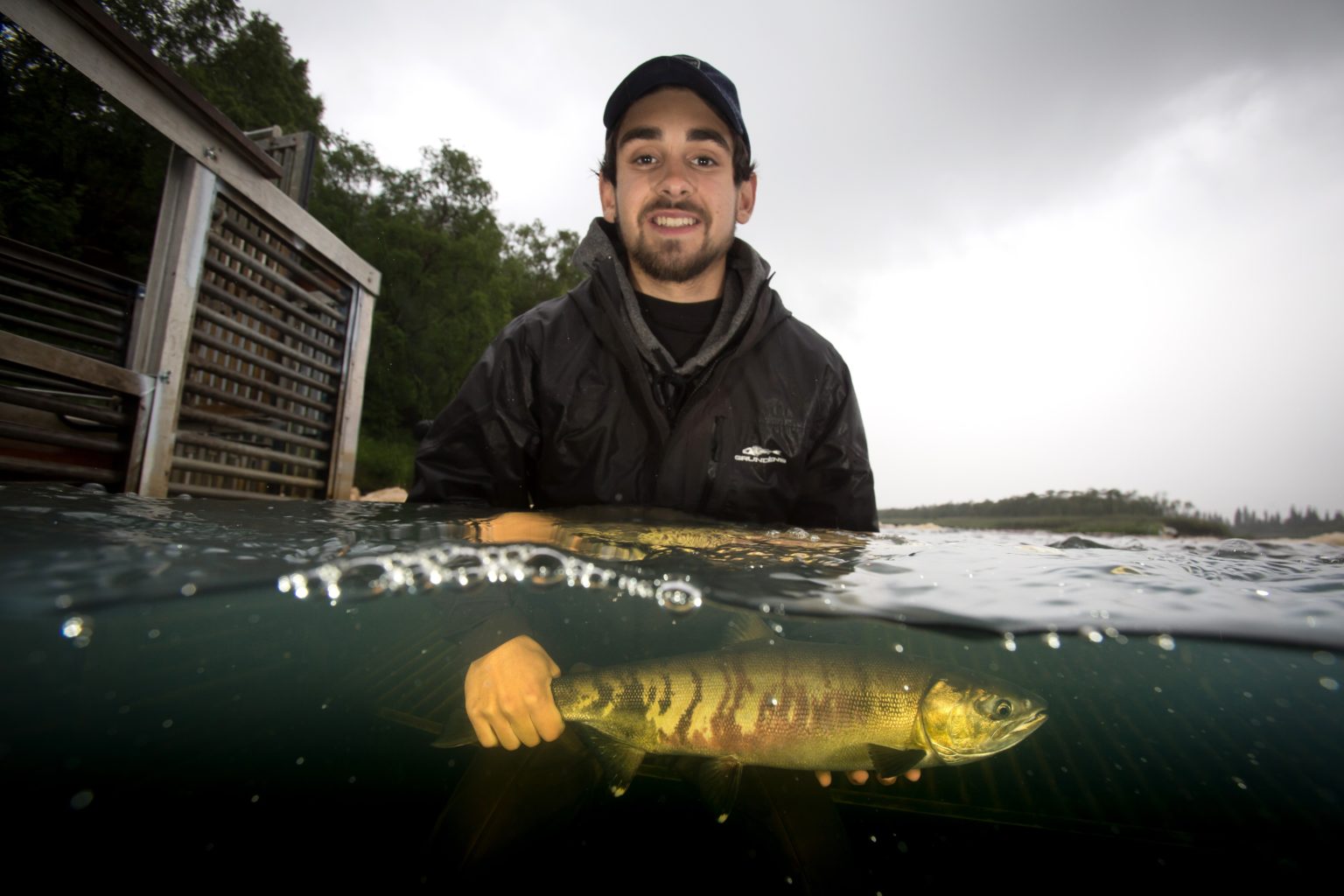 “I’ll just make some Native engineers.” ANSEP – Alaska Native Science ...