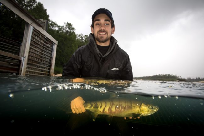 “I’ll just make some Native engineers.” ANSEP – Alaska Native Science ...