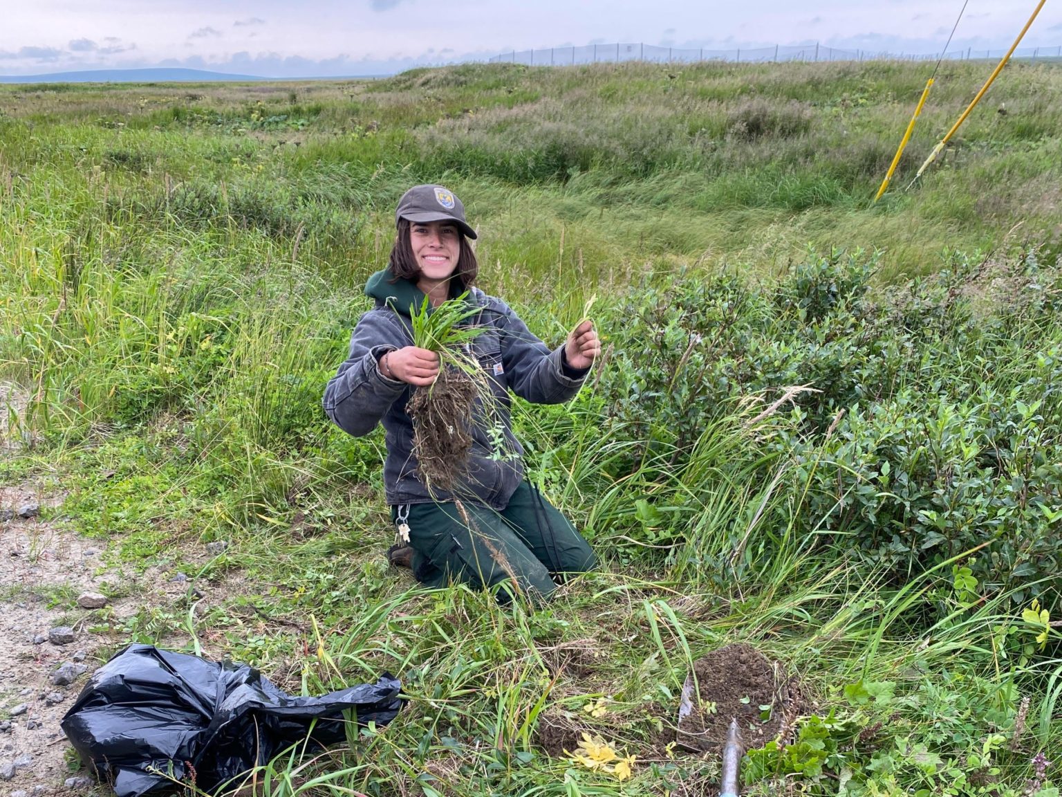 Nunivak Island: Home on the Range – Friends of Alaska National Wildlife ...