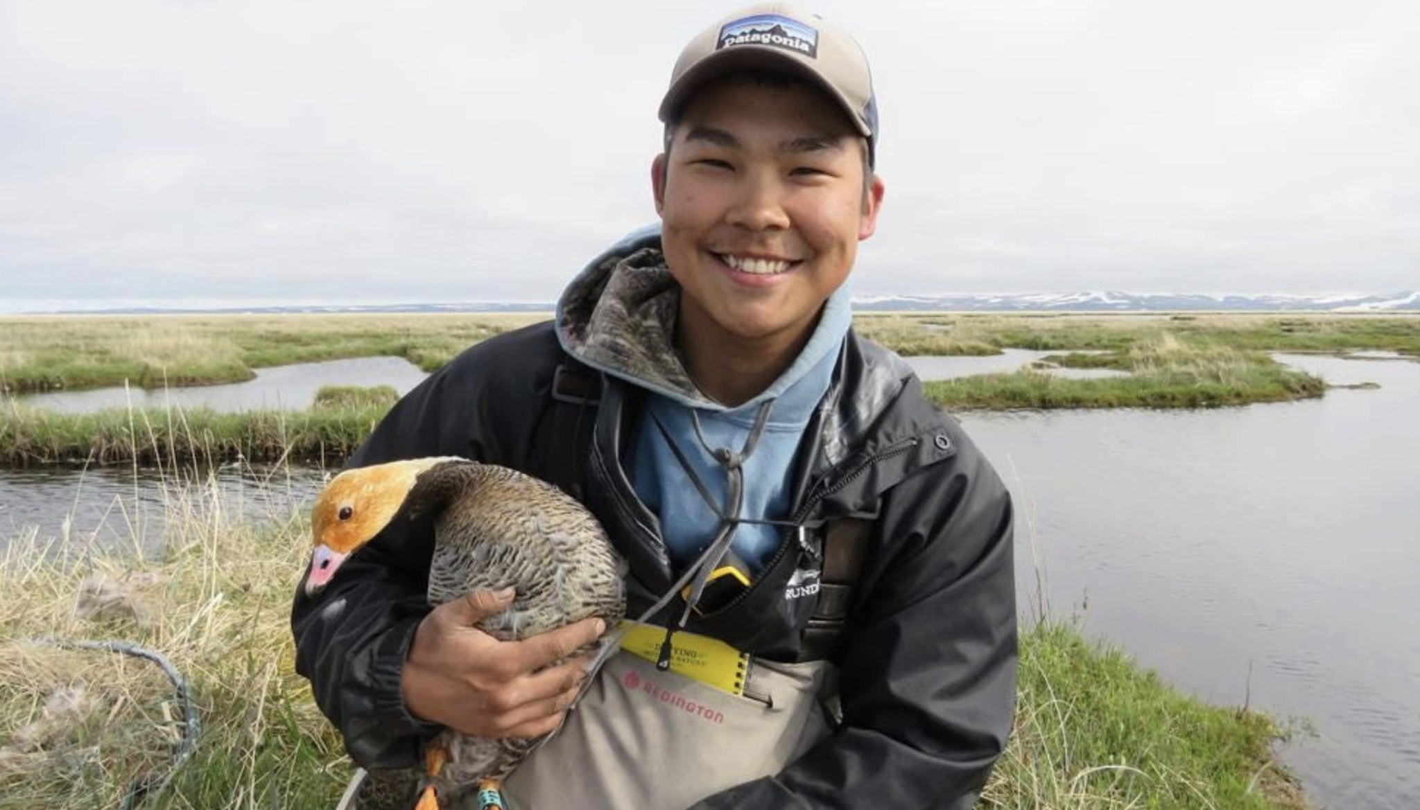 “I’ll just make some Native engineers.” ANSEP – Alaska Native Science ...