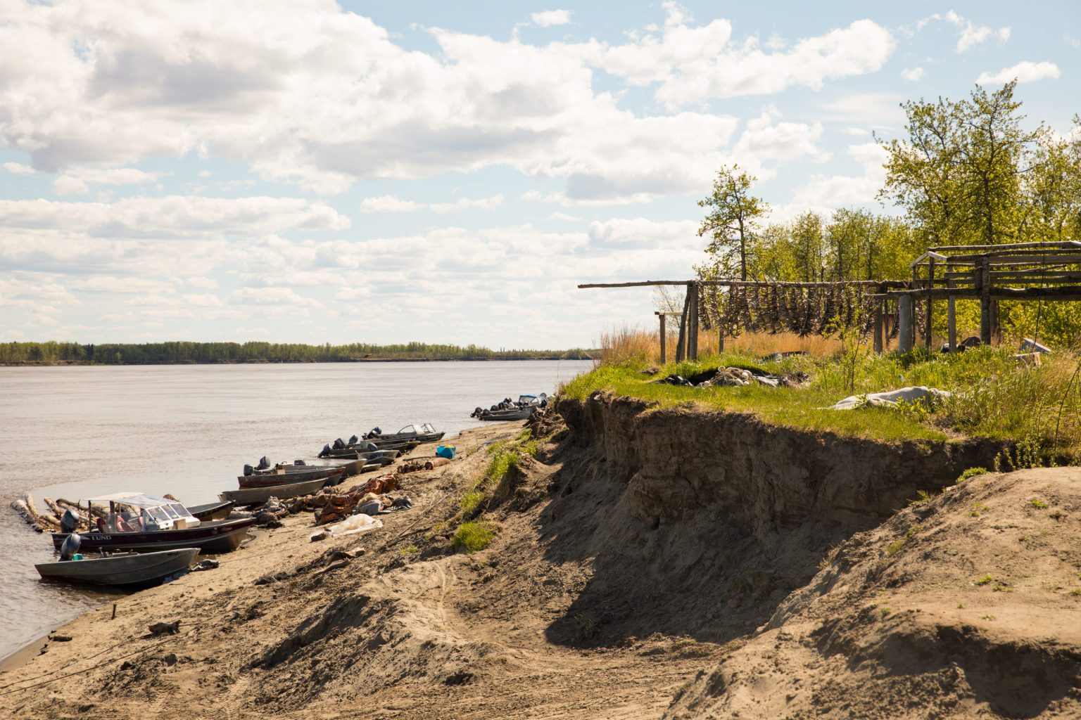 Conserving the Whole Lifecycle of Salmon: Gravel to Gravel in Alaska ...