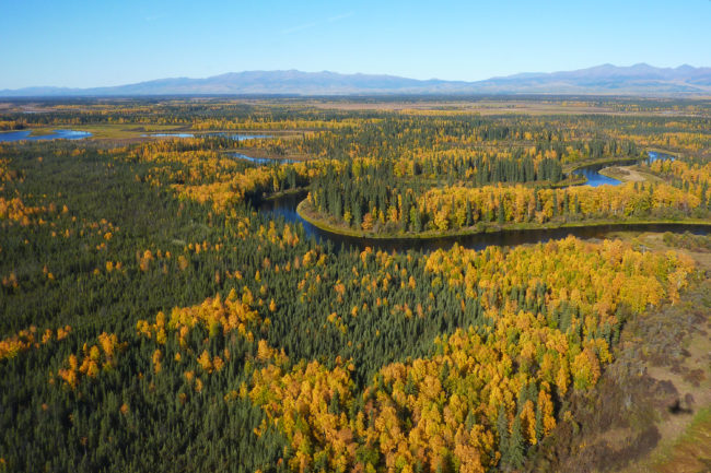 Three Amazing Rivers of the Central Yukon Watershed with Refuge Manager ...
