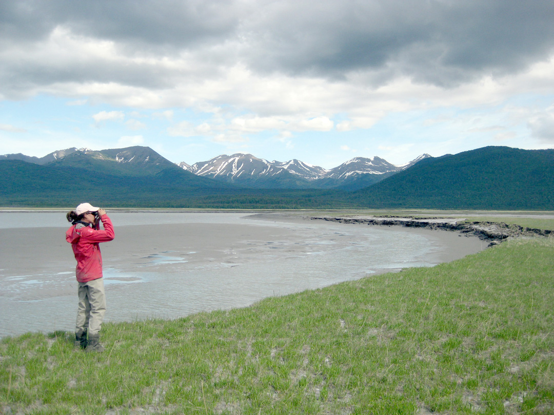 Chickaloon Flats: A Hidden Gem on the Kenai National Wildlife Refuge ...