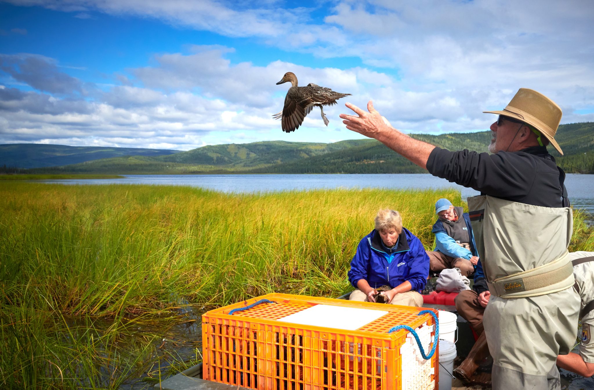 Friends’ Volunteers Flock to Tetlin – Friends of Alaska National ...