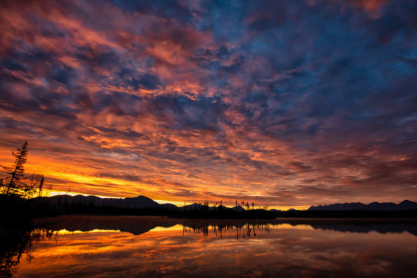 Friends 20th: Celebrate at Kelly Lake, Kenai Refuge, July 12 – Friends ...